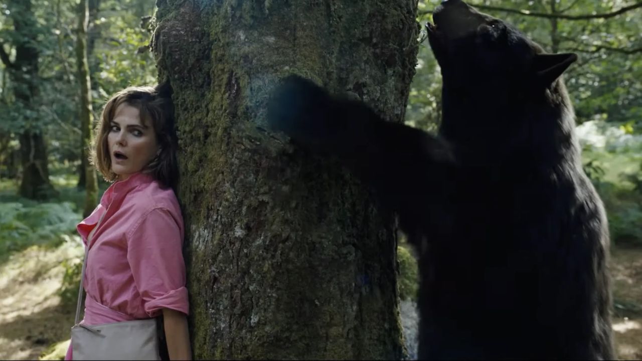 Cocainorso: L'allucinante storia dell'orso che ingerì 30 kg di droga ...