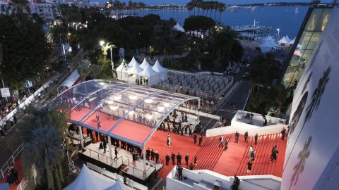 Festival di Cannes 2023, tutti i Film: il programma completo e ...