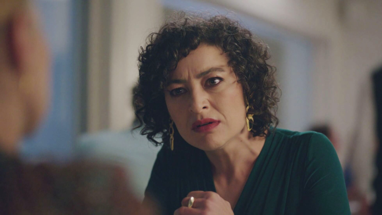 Segreti di Famiglia Anticipazioni 18 novembre 2024: Seda in arresto!