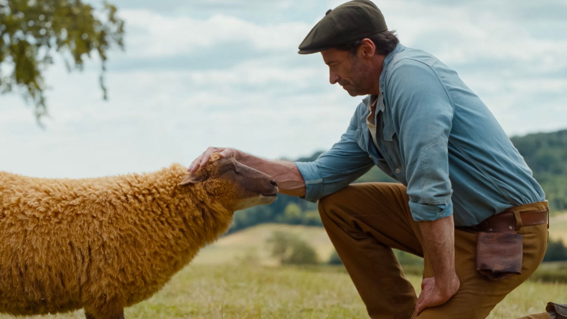 Pecore sotto copertura: il trailer italiano ufficiale della commedia ...