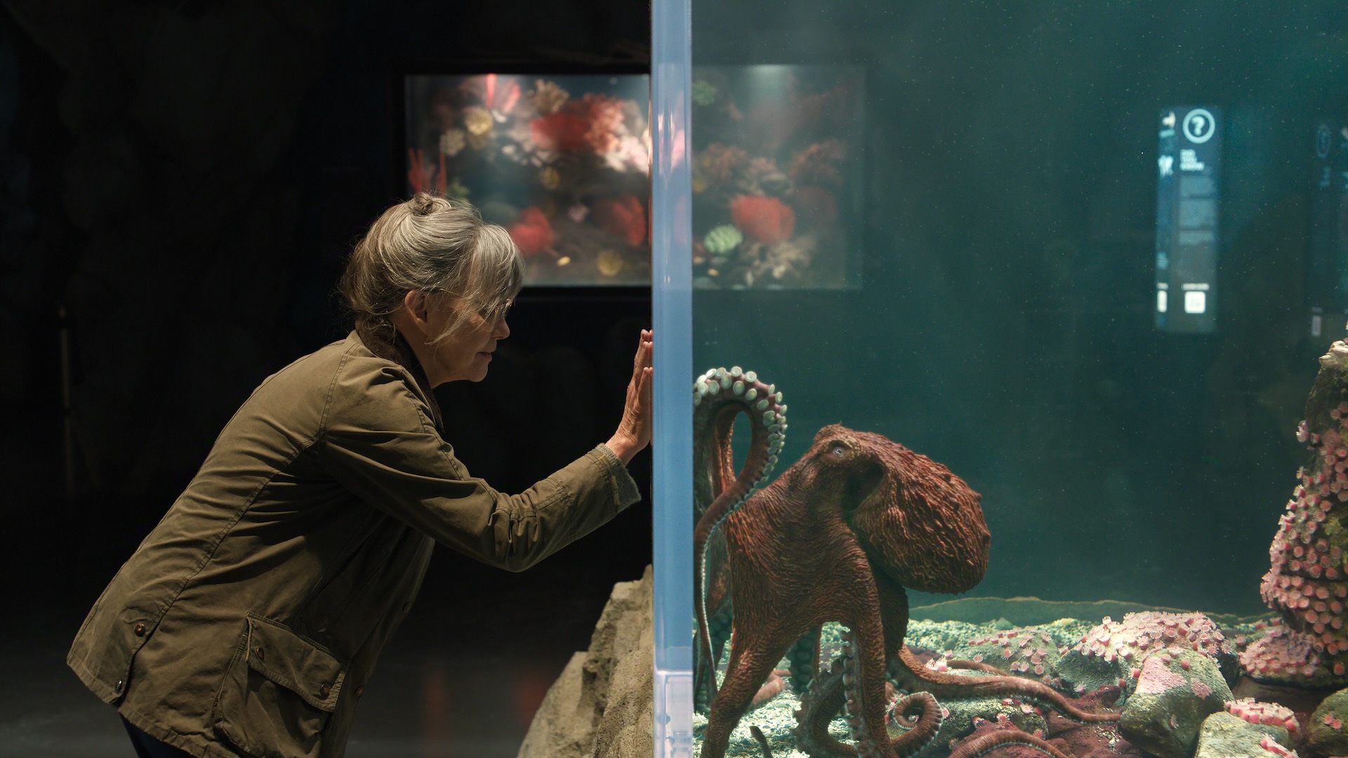 Creature luminose: il teaser trailer del film Netflix tratto dall ...