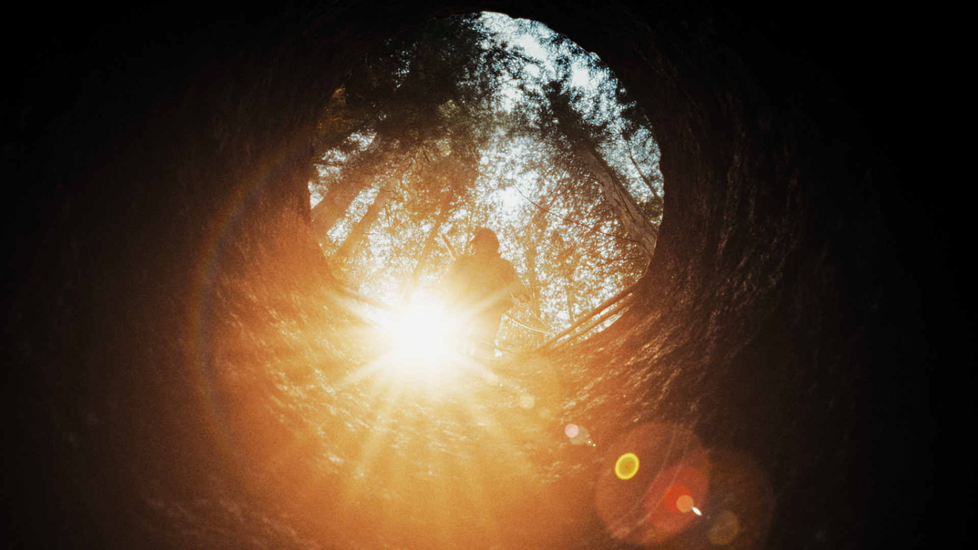 Pitfall: ecco il trailer del nuovo horror che ci ricorda come le ...