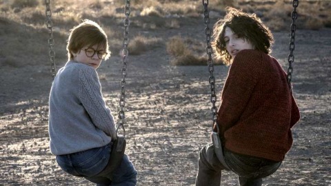 Il Cardellino - Film (2019)