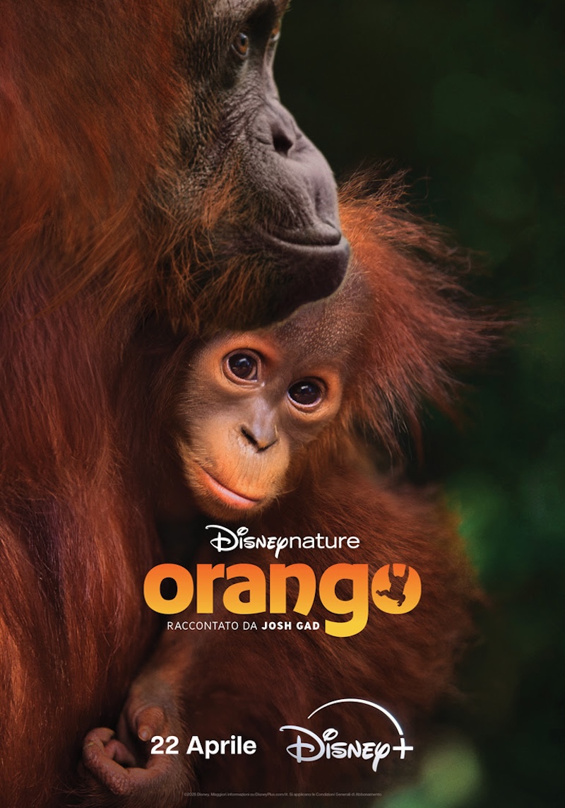 Orango: il trailer del film documentario in streaming dal 22 aprile su ...