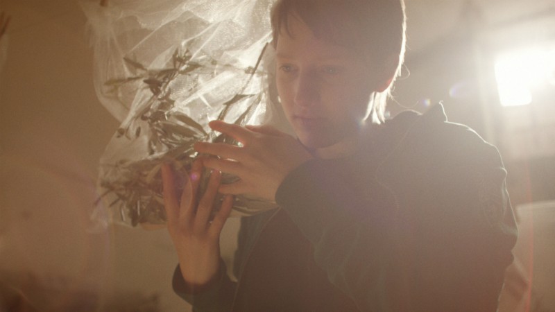 Semina il vento: Danilo Caputo presenta una favola di ribellione con ...