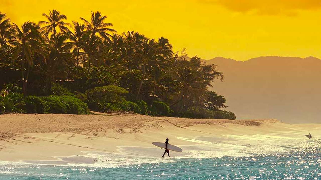 FOX ordina la prossima Baywatch, Rescue: Hi-Surf di John Wells