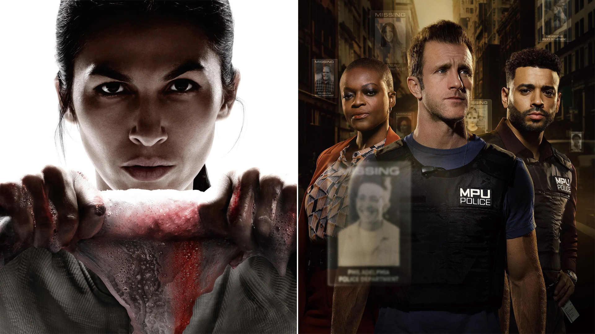 The Cleaning Lady e Alert: Missing Persons Unit cancellate alla FOX