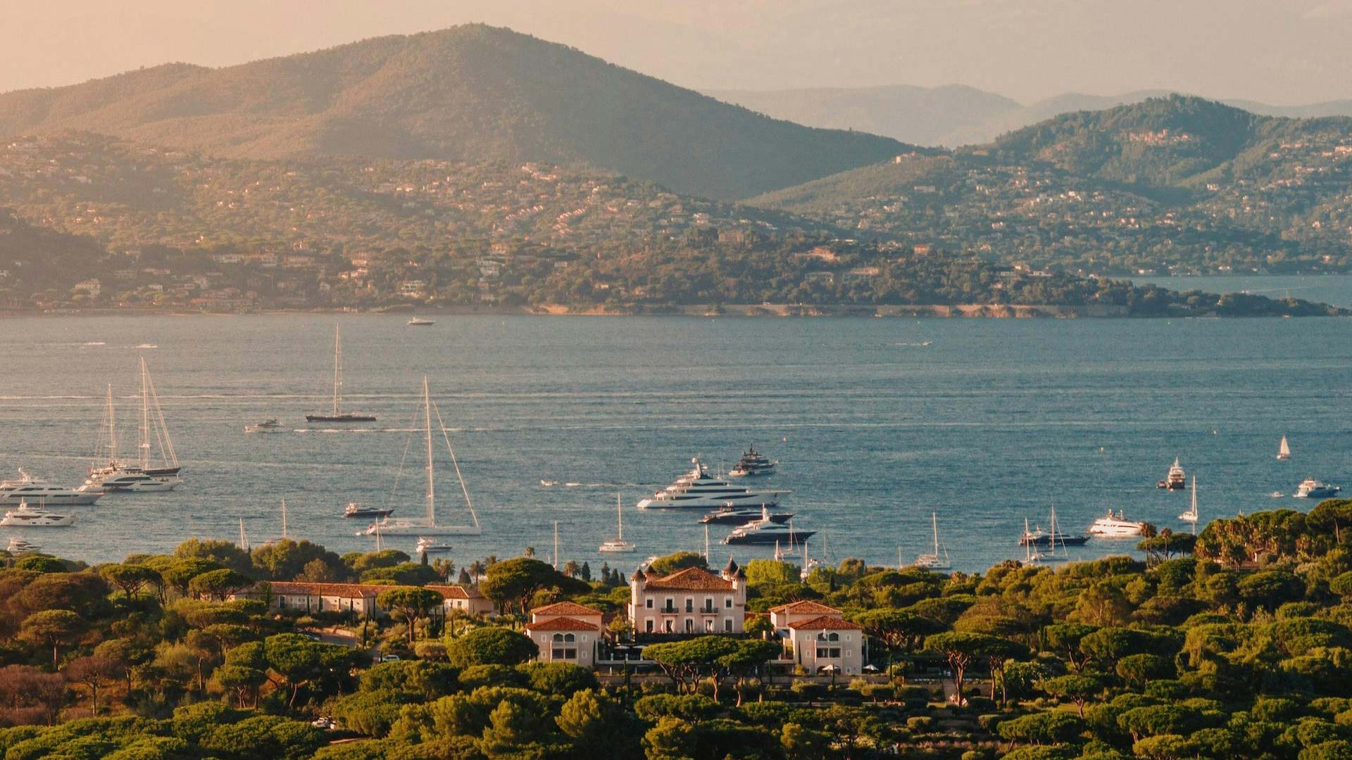 The White Lotus, la stagione 4 sarà ambientata a Saint-Tropez: Ecco in ...