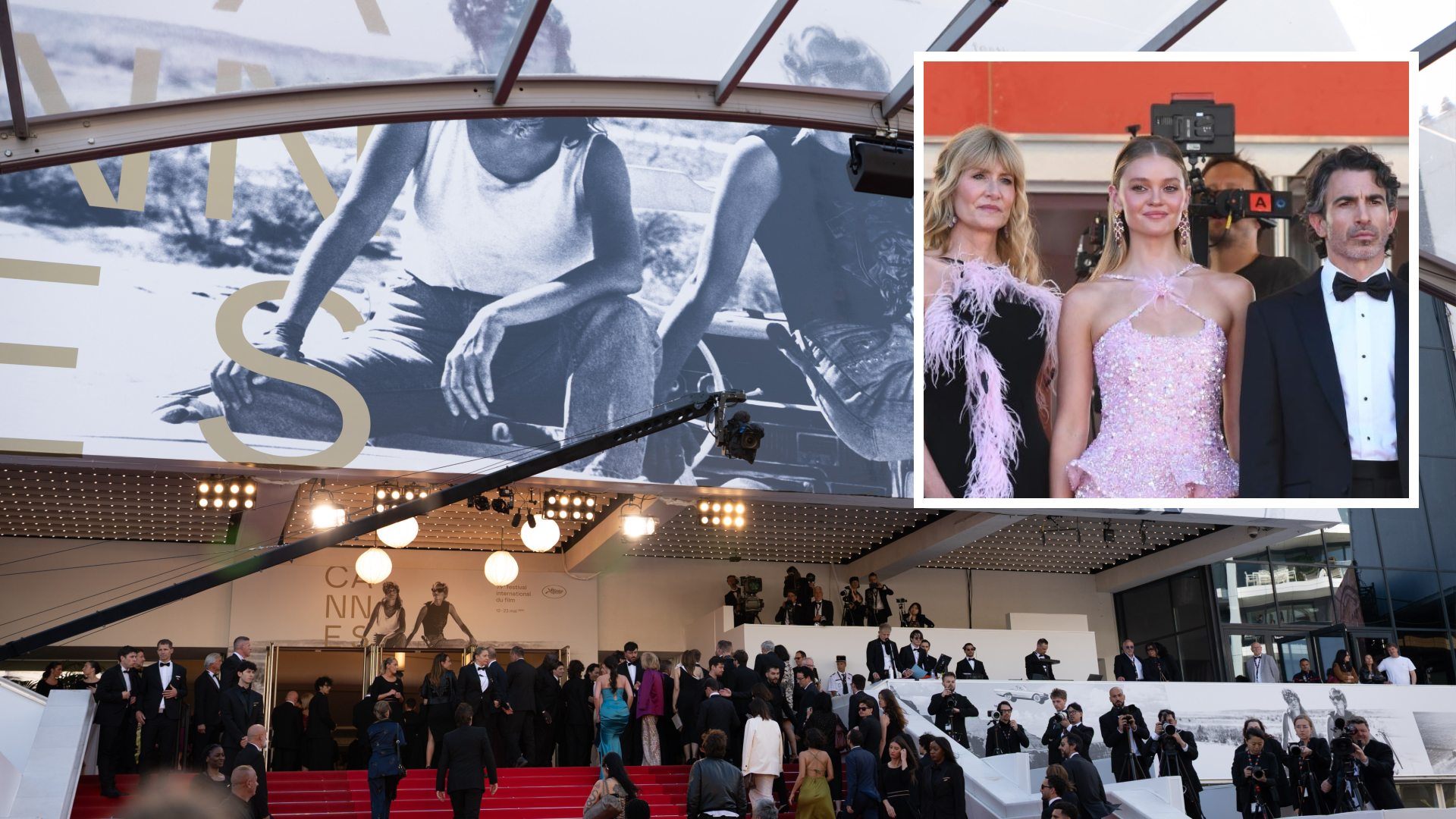 The White Lotus 4 a Cannes a festival terminato: Che ci fanno gli ...