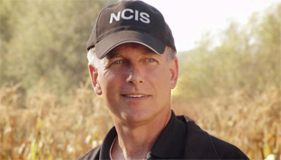 NCIS rinnovata per una sedicesima stagione