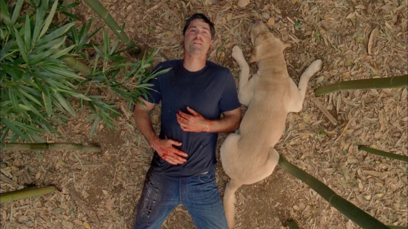 Non ci siamo mai ripresi da Lost: 5 motivi per riscoprire la serie cult ...