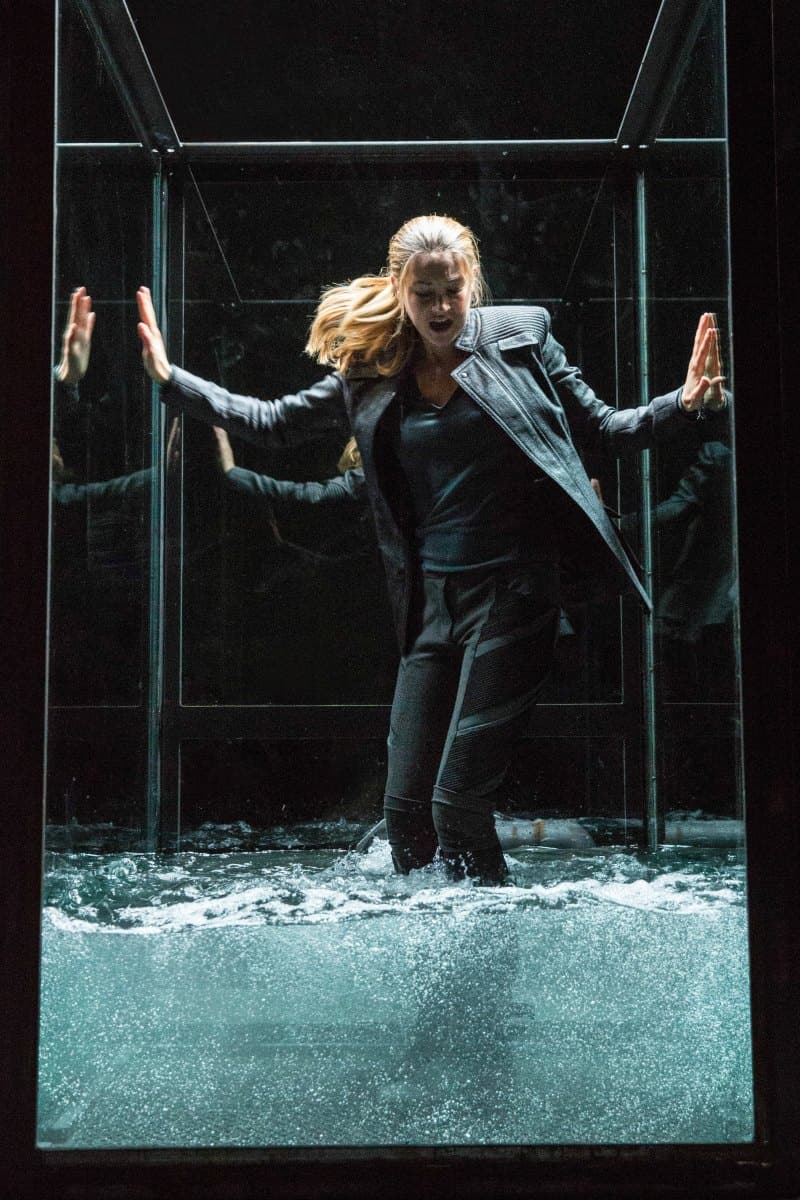 Divergent Foto