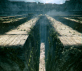 Maze Runner - Il labirinto streaming