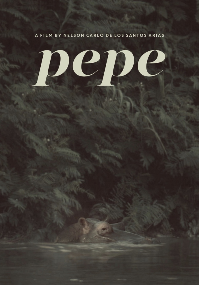 Pepe streaming