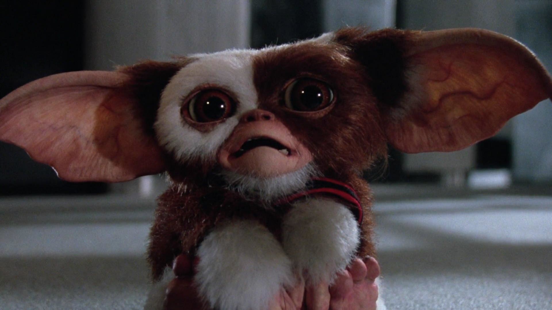 Gremlins - Film (1984)