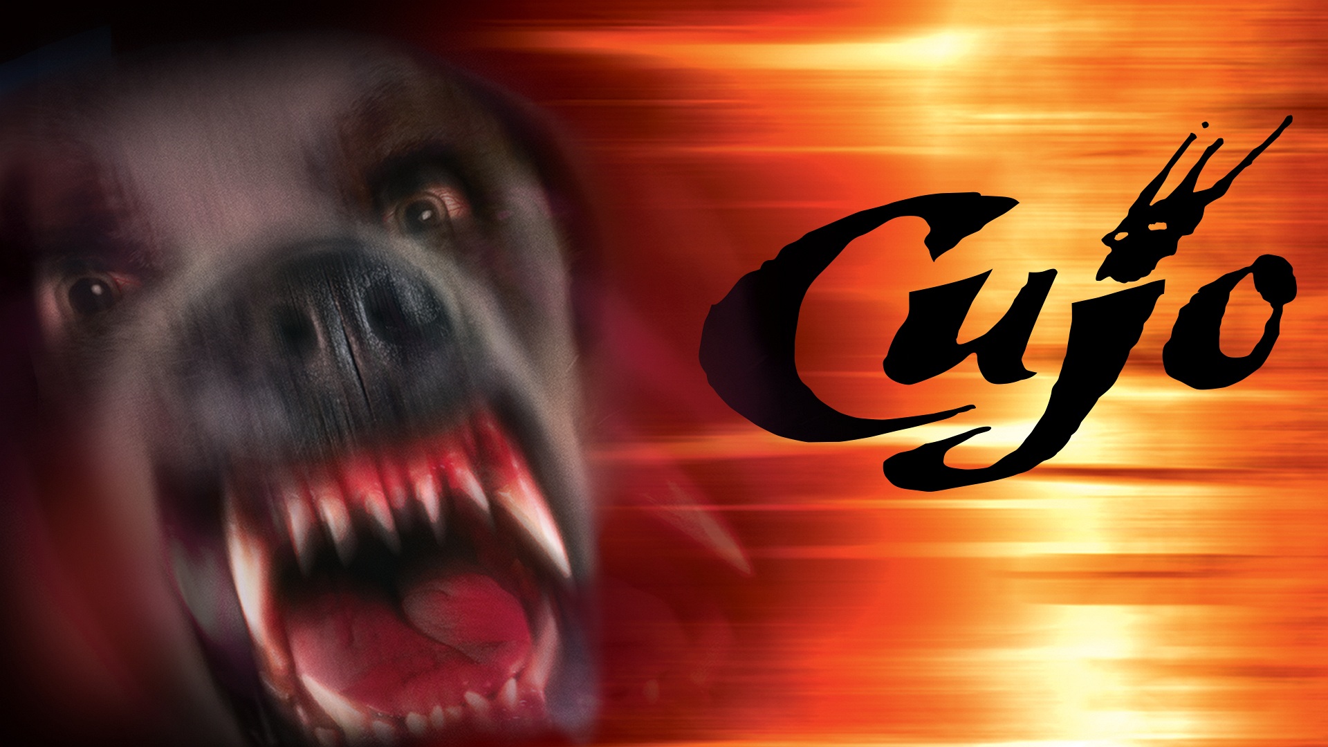 Cujo - Film (1983)