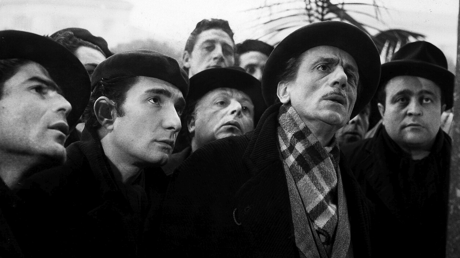 NAPOLETANI A MILANO - Film (1953)