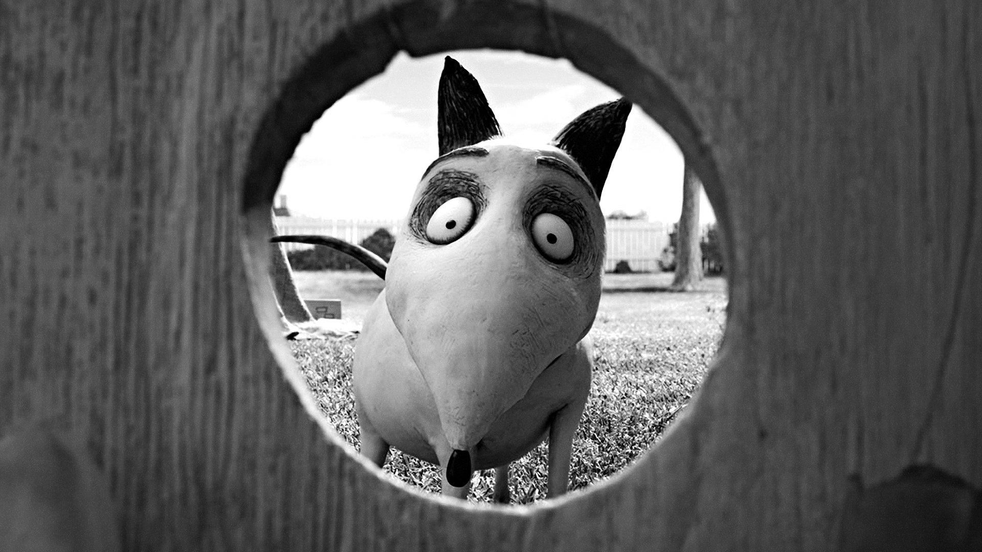 Frankenweenie - Film (2012)