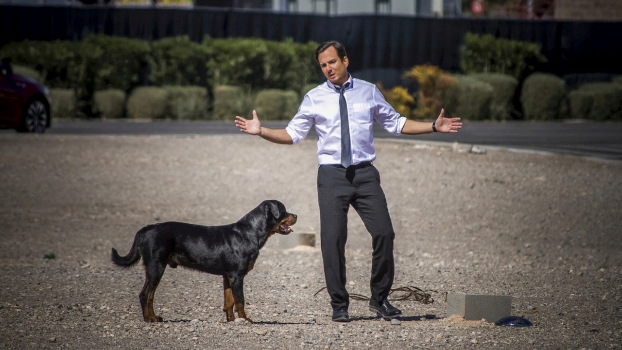 Show Dogs - Entriamo in scena - Film (2018)