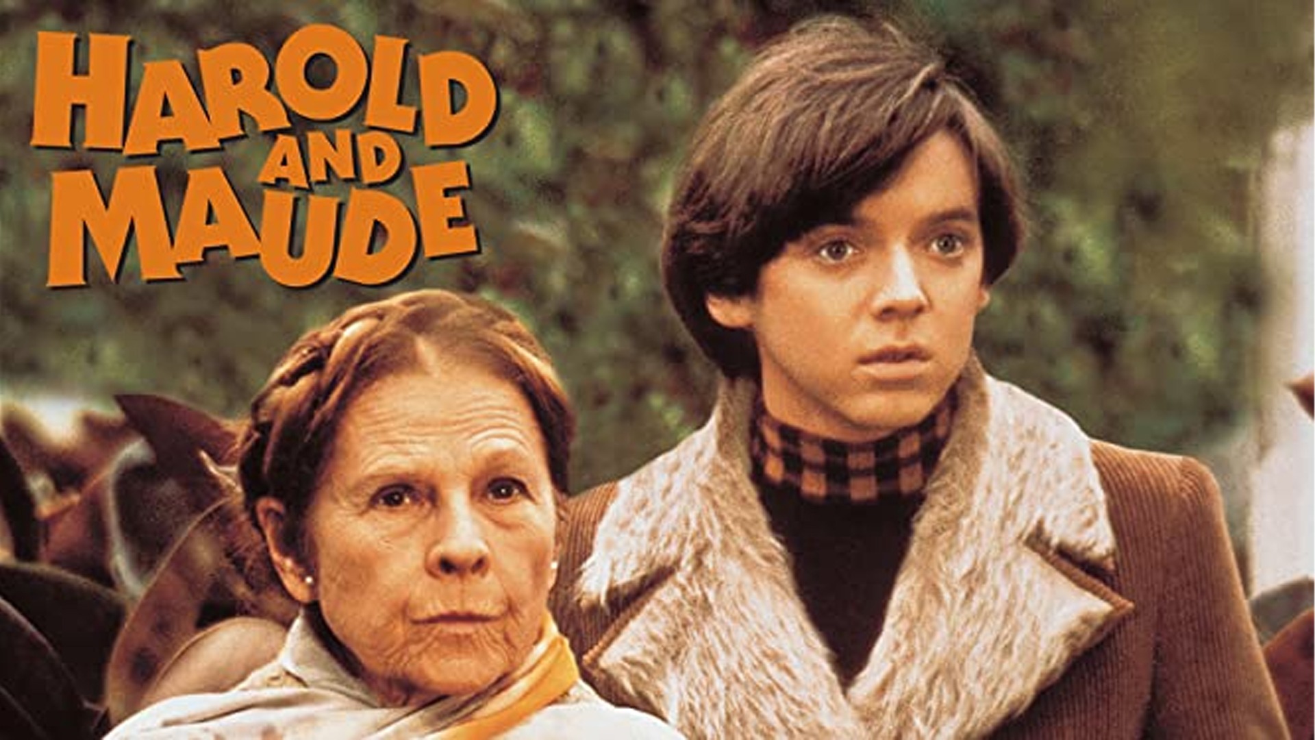Harold e Maude - Film (1971)