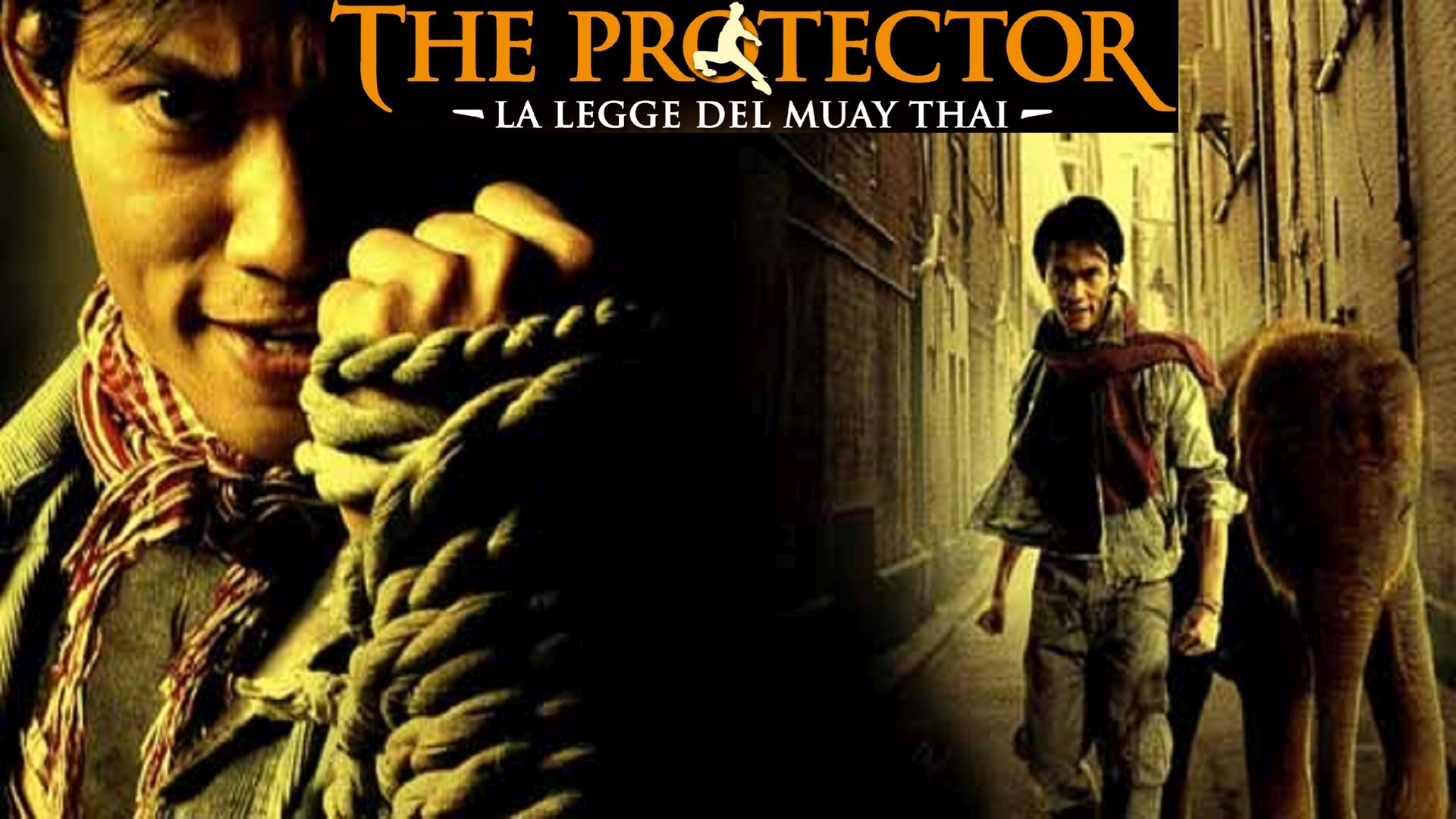 The Protector - Film (2005)
