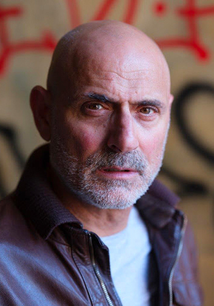 Stefano Fabrizi biografia