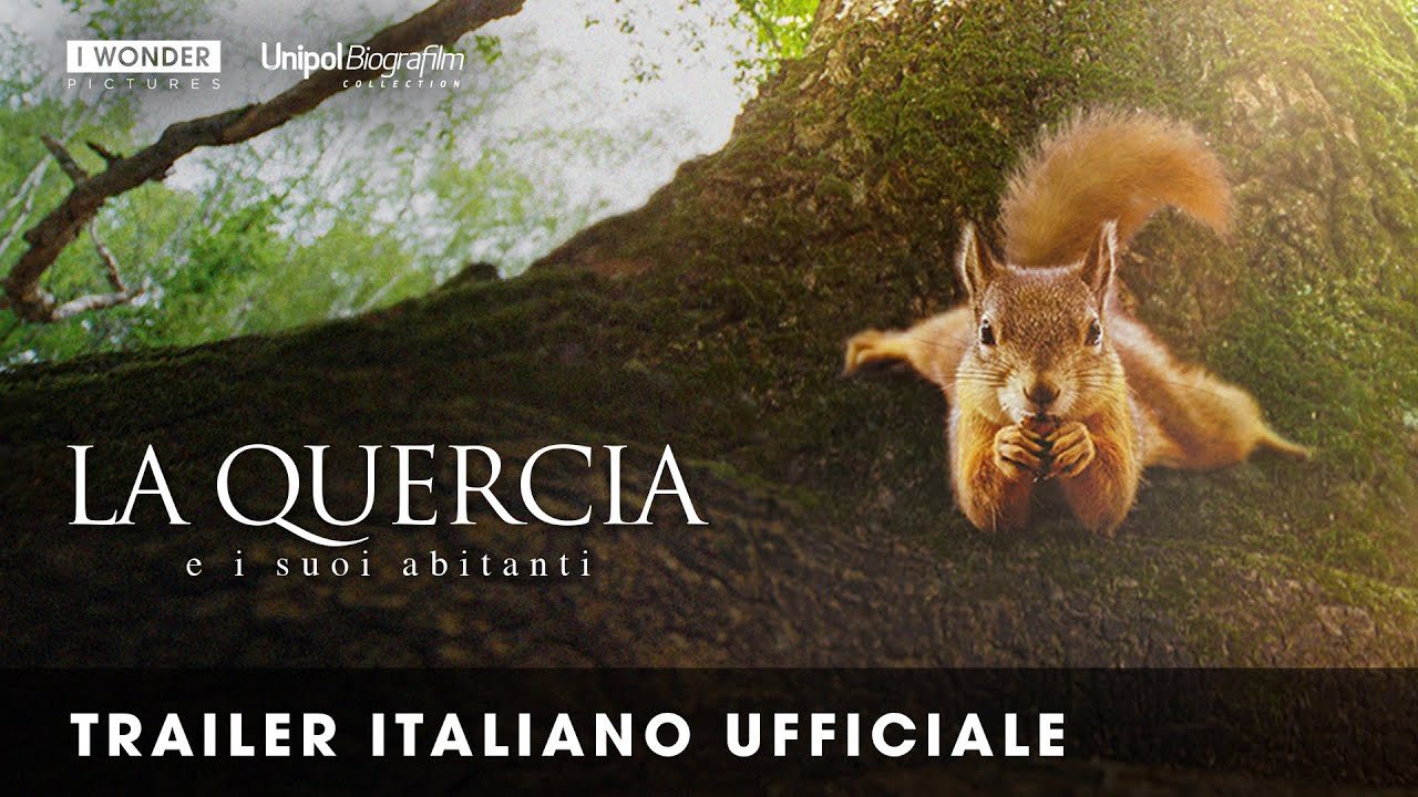 La quercia e i suoi abitanti, Il Trailer Italiano Ufficiale del Film ...
