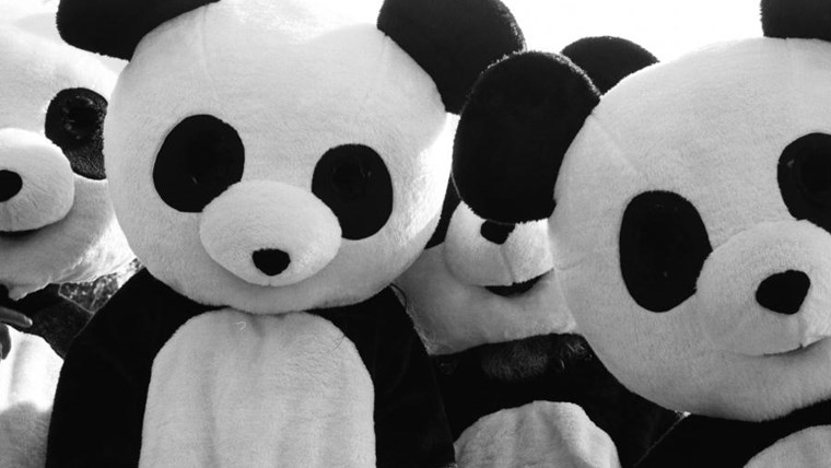 Pete Smalls is Dead - Film (2010)