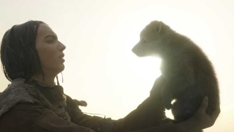 Alpha - Un'amicizia forte come la vita - Film (2018)