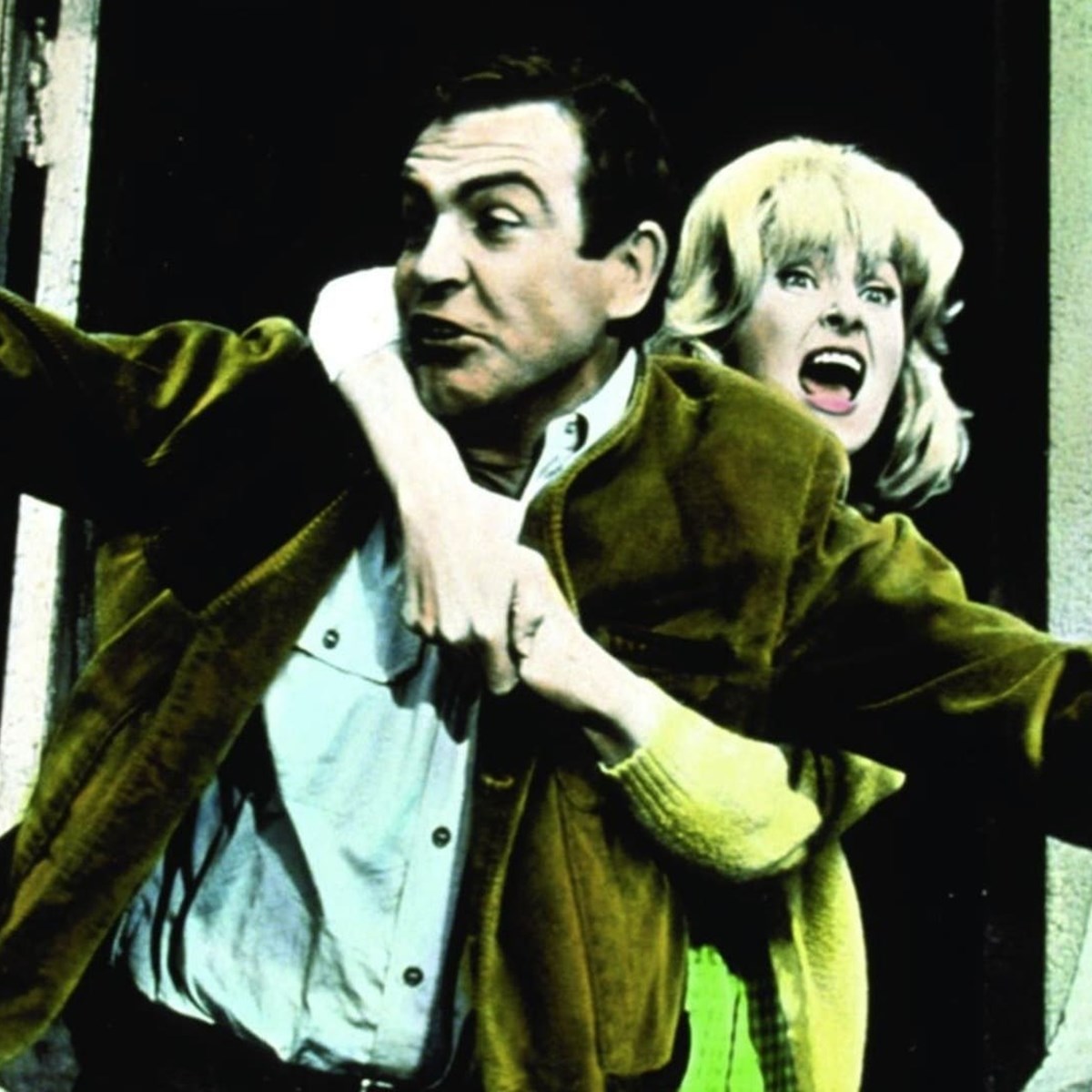 Una splendida canaglia - Film (1966)