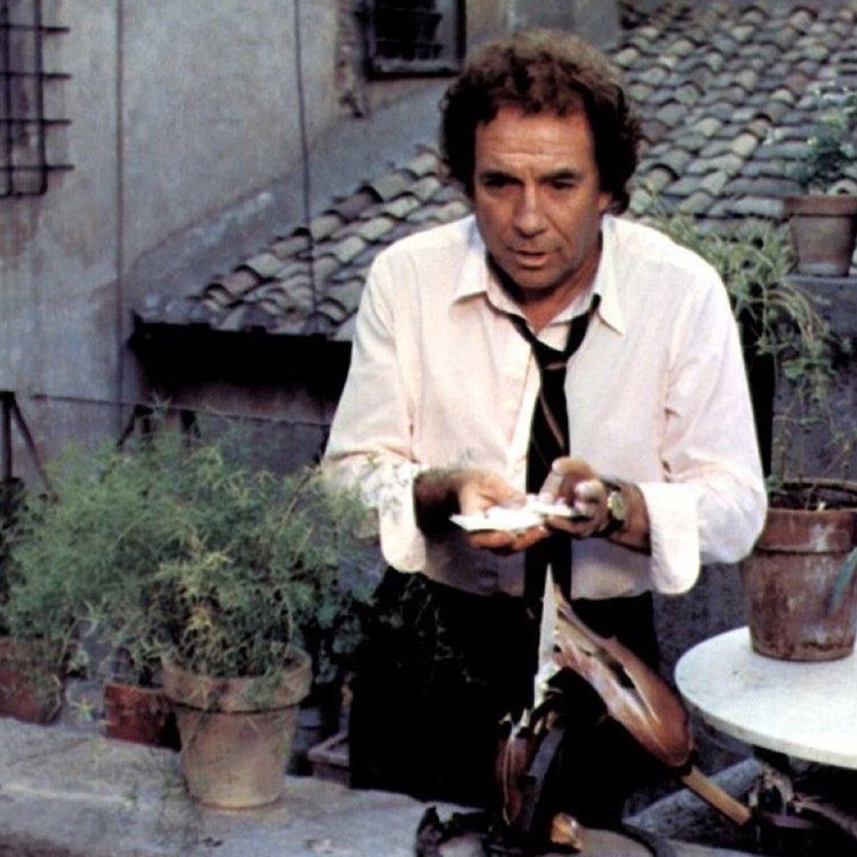 Il Gatto - Film (1977)