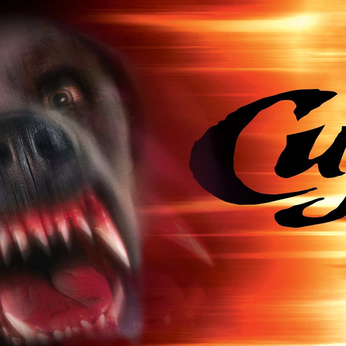 Cujo - Film (1983)