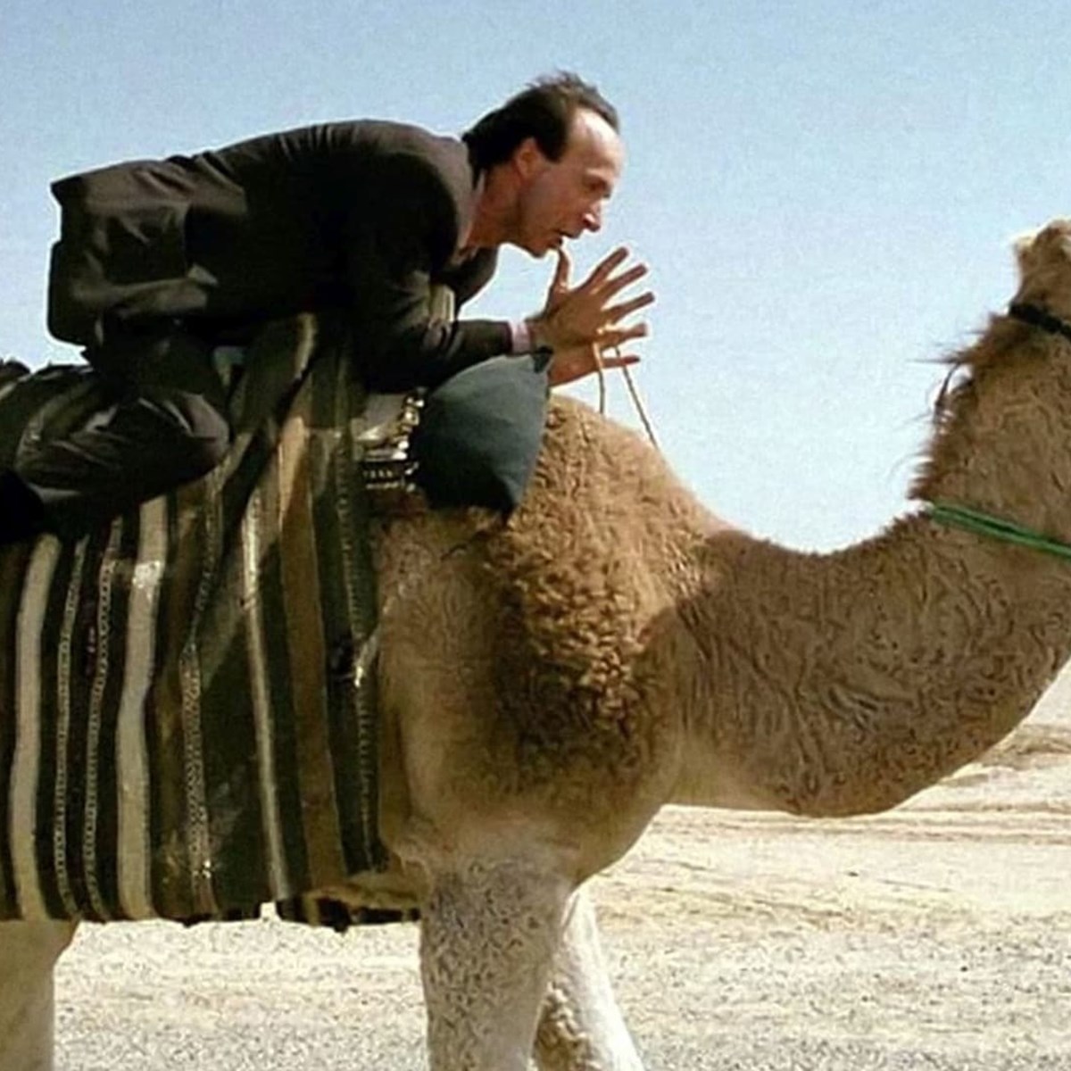 La Tigre e la neve - Film (2005)