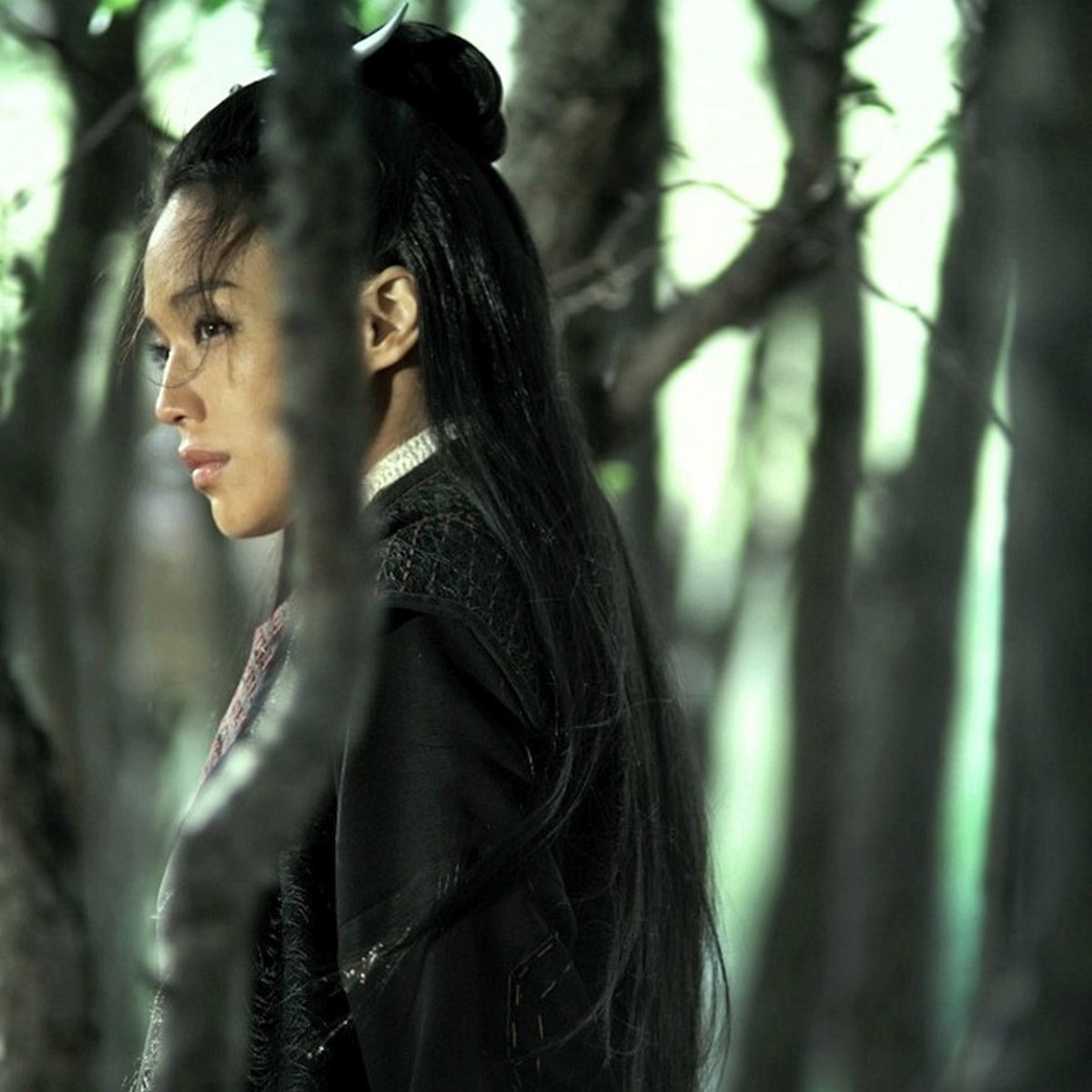 The Assassin - Film (2015)