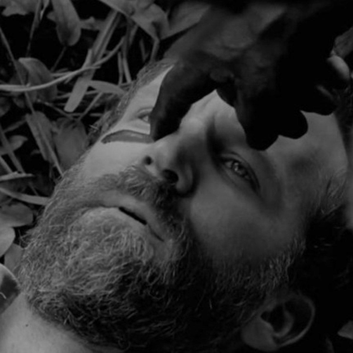 El abrazo de la serpiente - Film (2015)