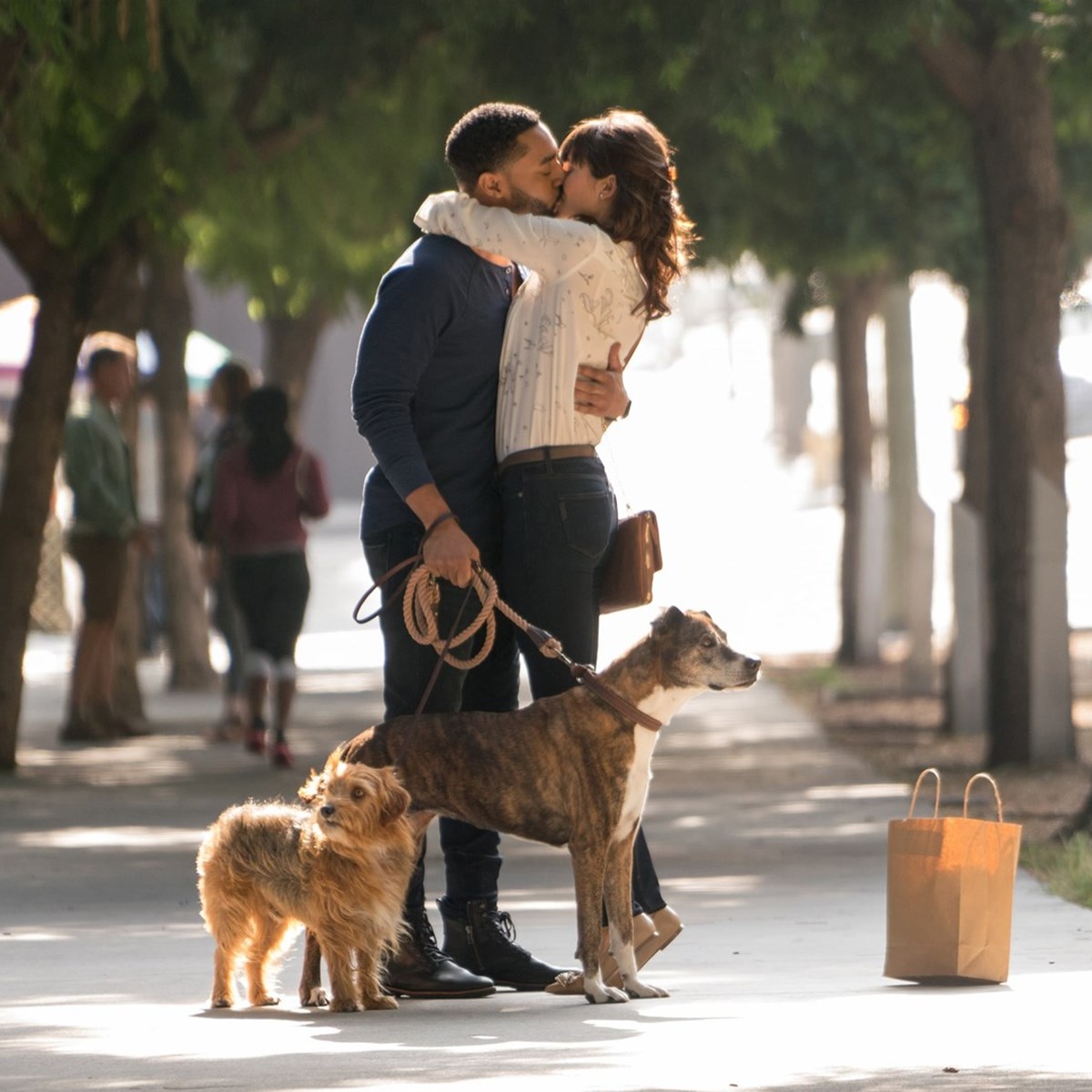 Dog Days - Film (2018)