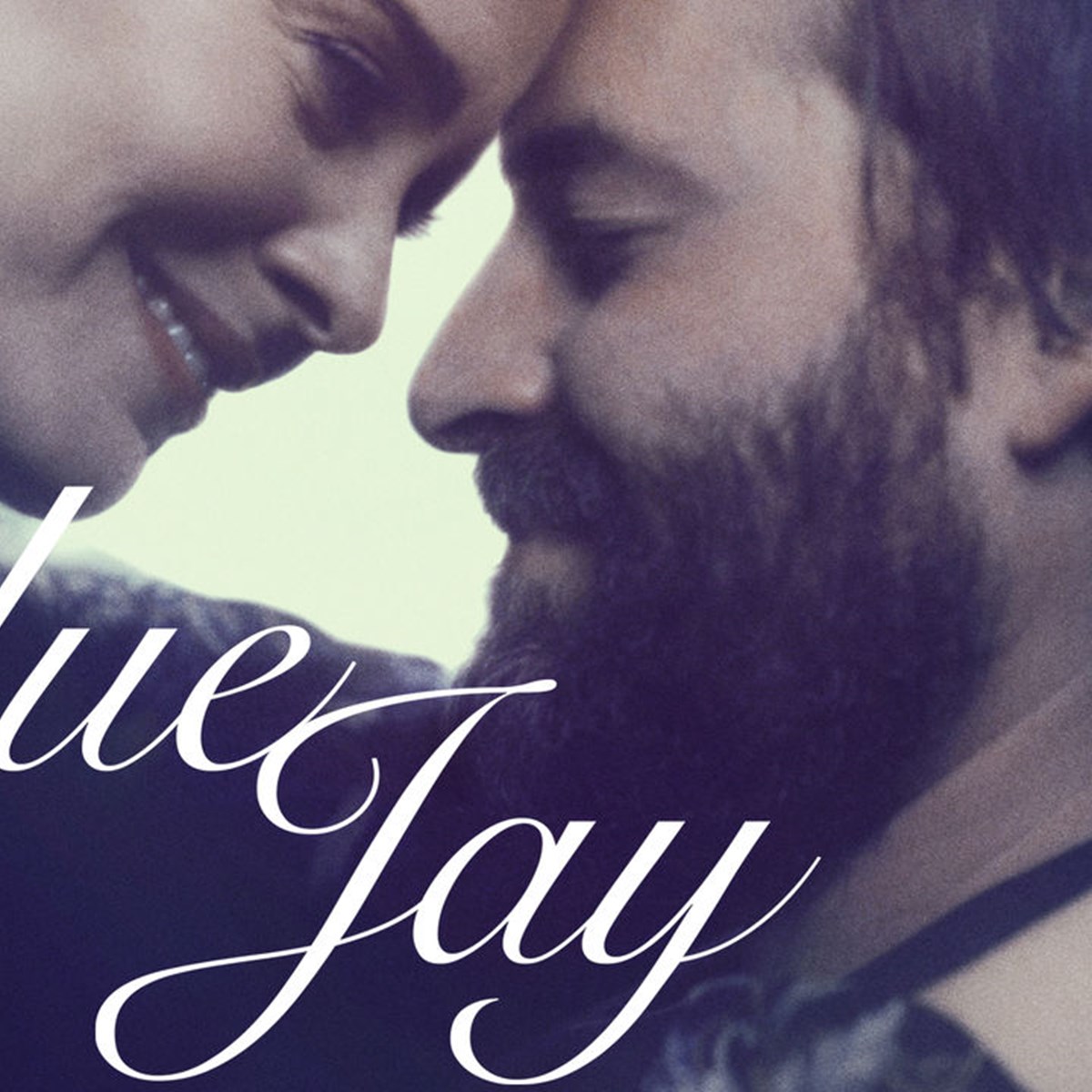 Blue Jay - Film (2016)