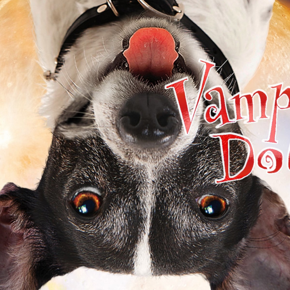 Vampire Dog - Film (2013)