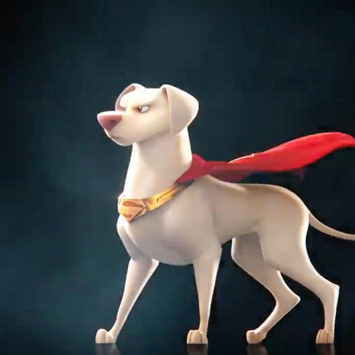 DC League of Super-Pets - Film (2022)