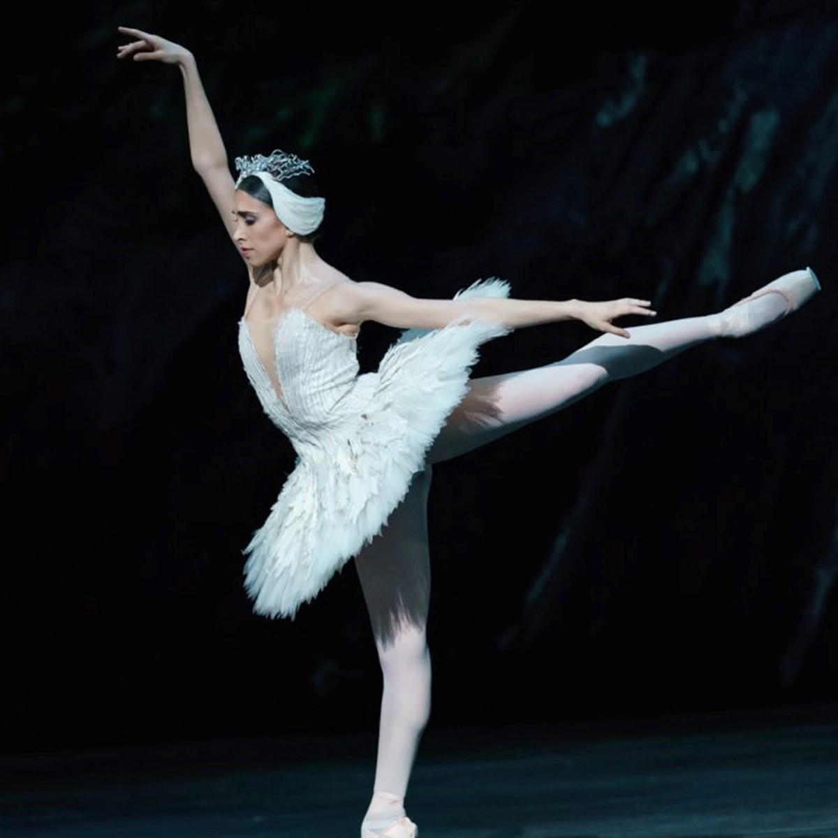 Il Lago dei Cigni - Film (2024)