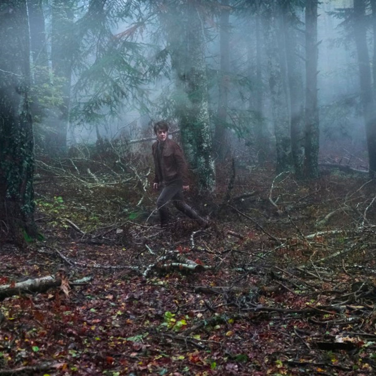 L'uomo nel bosco - Film (2024)