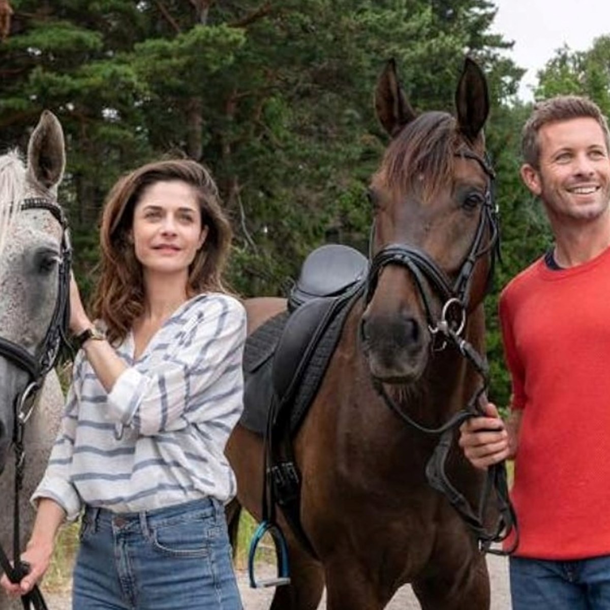 Inga Lindstrom - Il Segreto dei Nordquist - Film (2018)