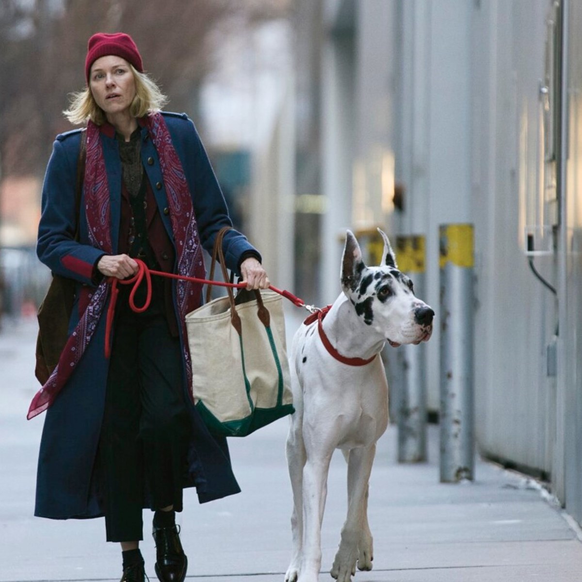 L'Amico Fedele - Film (2025)