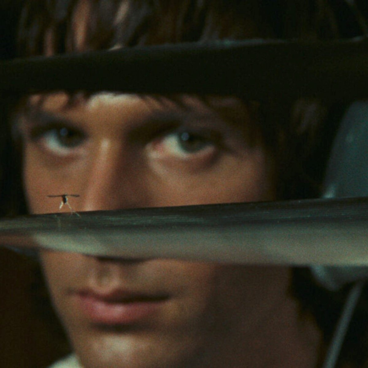 4 Mosche di velluto grigio - Film (1971)