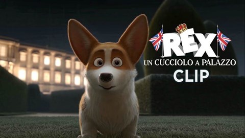 Rex - Un Cucciolo a Palazzo - Film (2019)