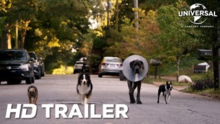 Doggy Style, Il Nuovo Trailer Ufficiale in Italiano del Film - HD ...